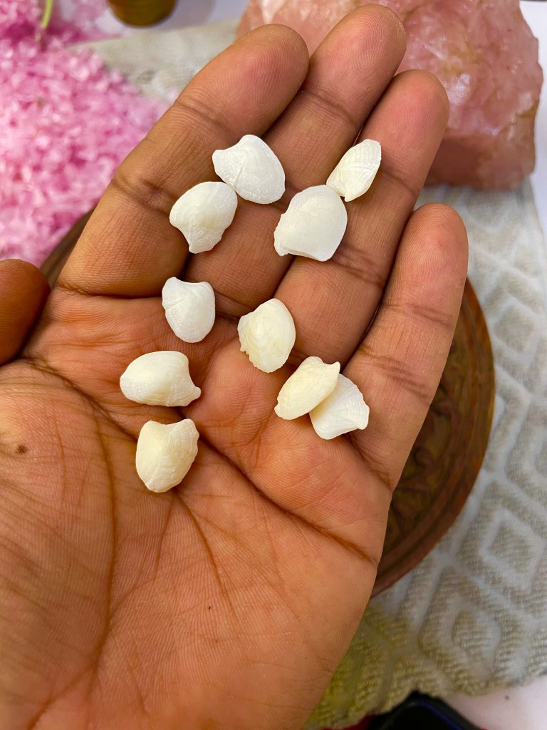 Machh Mani - Meditate wisdom store